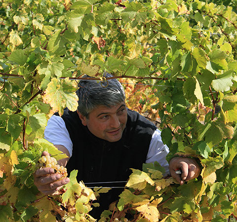 Wine Charity Event » Régis Descotes